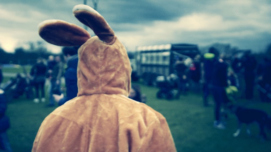 SeriousFilm » Sheep Hero